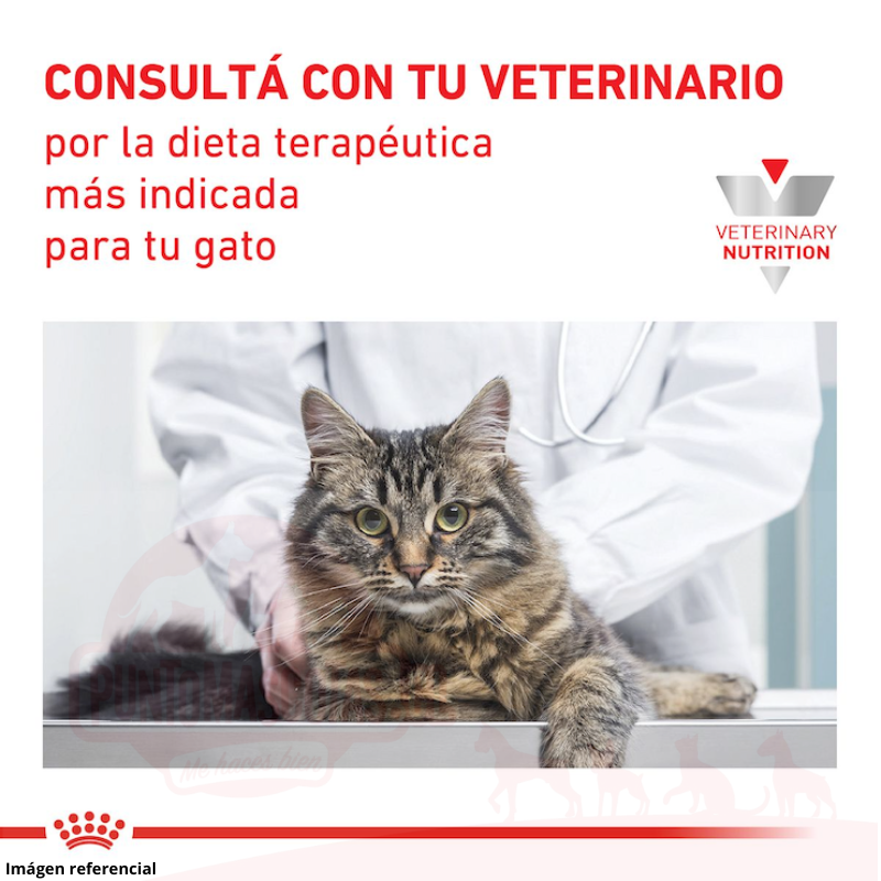 Royal Canin Calm Feline 2 kg. 33072 22,990.00