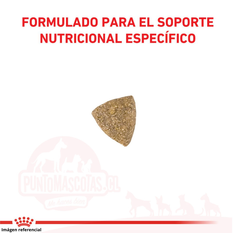 Royal Canin Calm Feline 2 kg. 33072 22,990.00