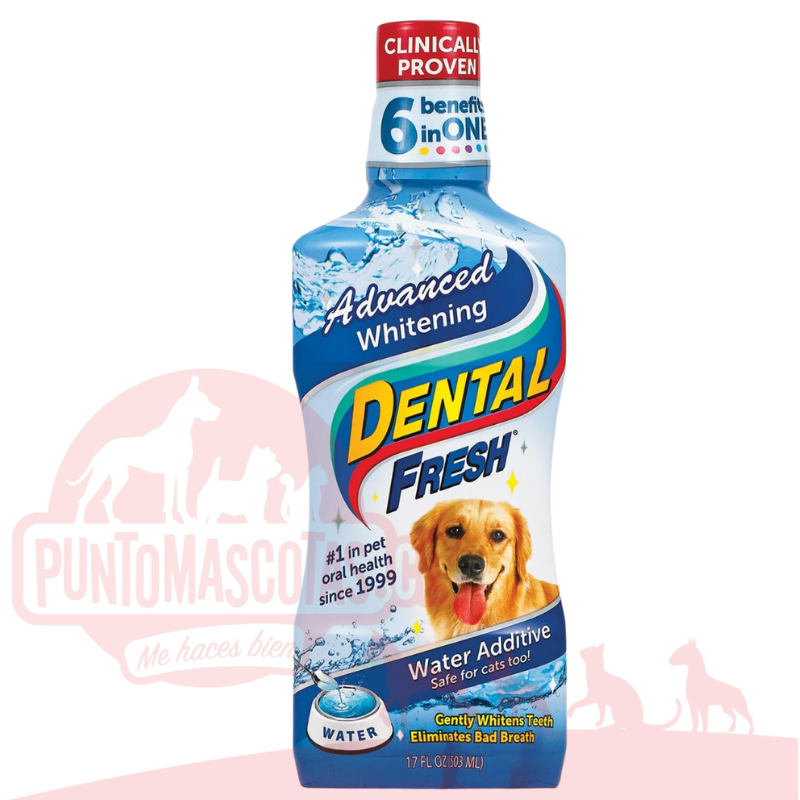 Dental Fresh Advance Whitening 503ml 38298 14,990.00