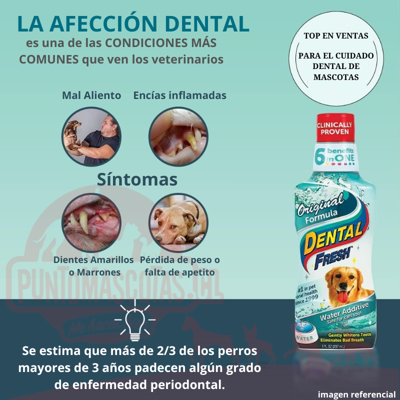 Dental Fresh 503ml 34376 13,990.00