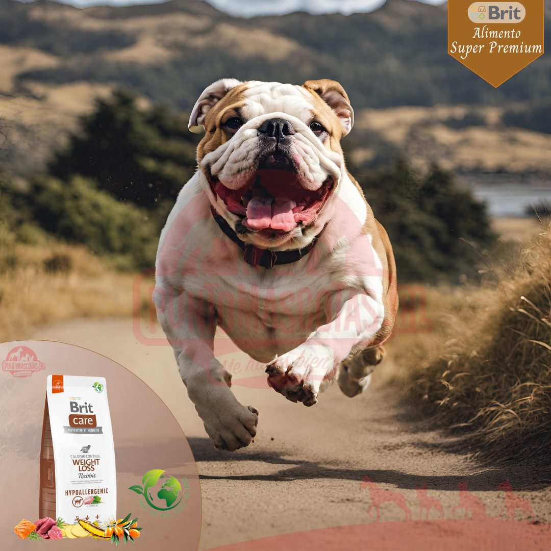 Brit Care Weight Loss Conejo y Arroz 12kg 35378 72,990.00