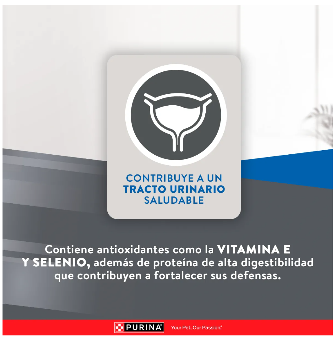 Purina Excellent Gatos Adult 3 kg 41303 15,990.00
