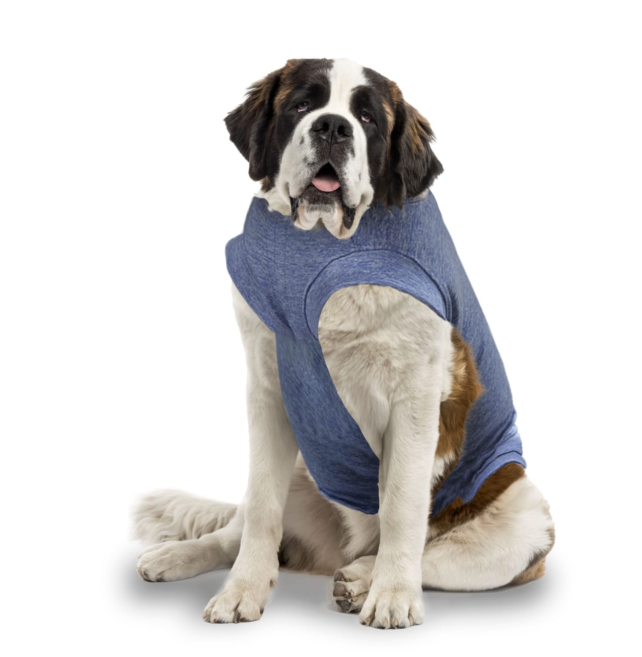 Body Cobre Perro Cunatex Talla 15 41546 24,990.00