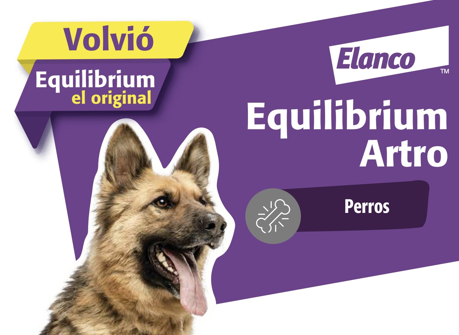 Equilibrium Artro 60 Tabletas Masticables 42353 32,990.00